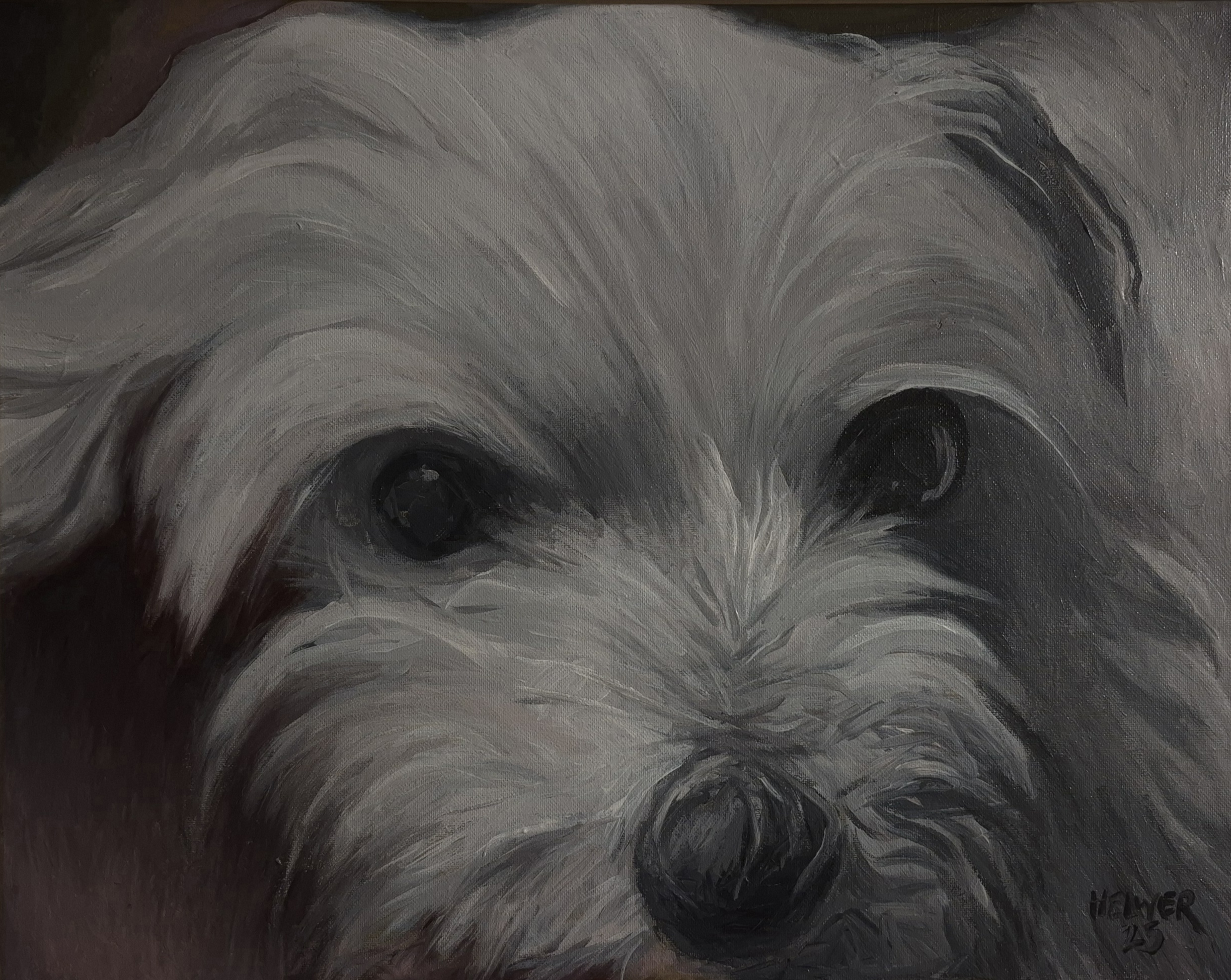 BELLA-DOG. | David Helwer